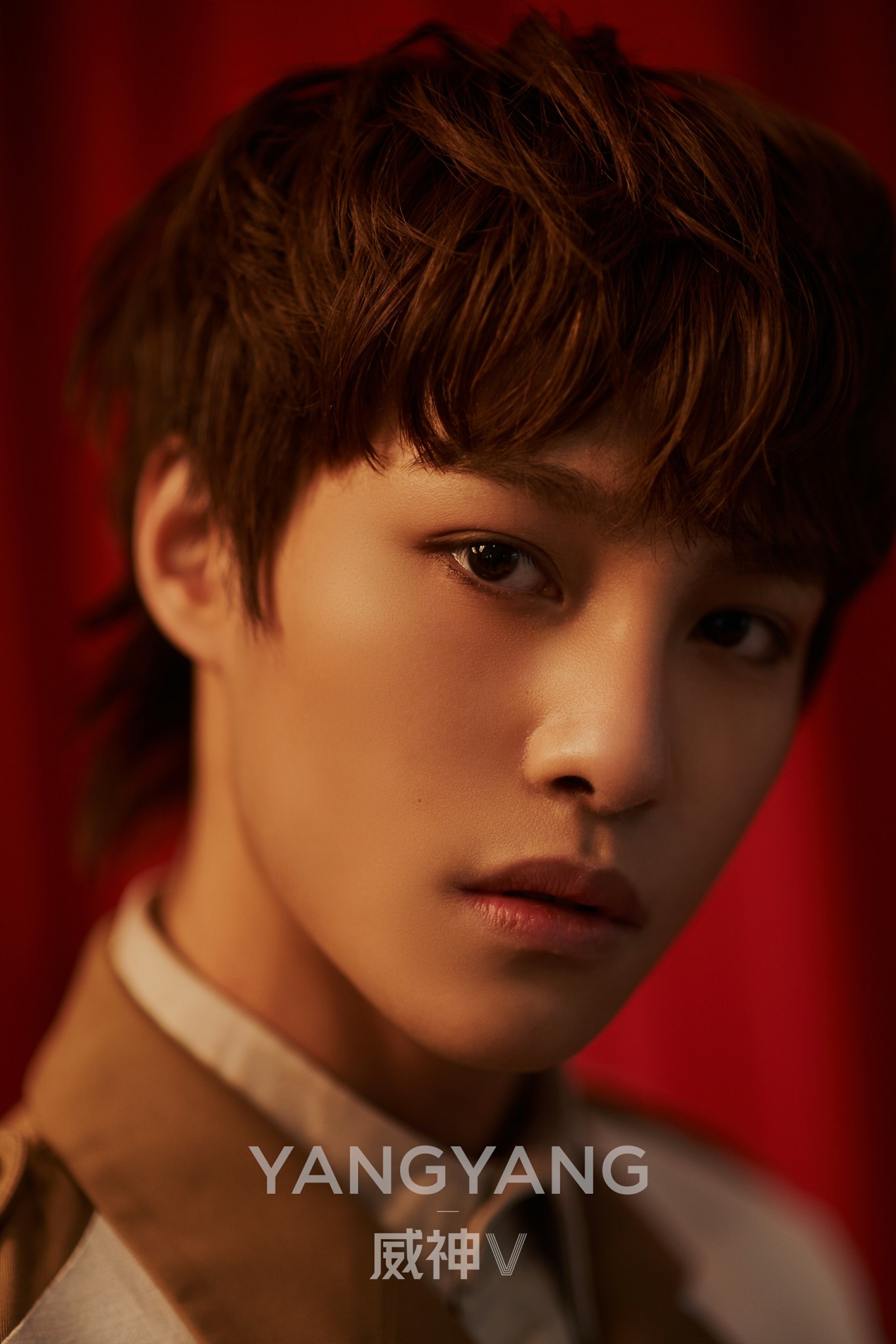 🇹🇼 YANGYANG – NCTzen BASIC